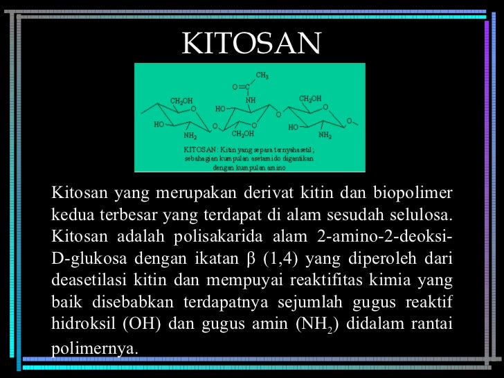 Chitosan sebagai bahan pengawet tahu