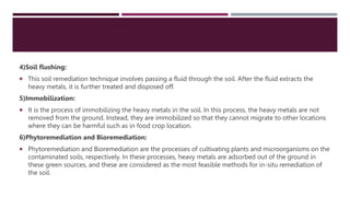 Heavy metal pollution in soil ecosystem.pptx