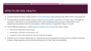 Heavy metal pollution in soil ecosystem.pptx