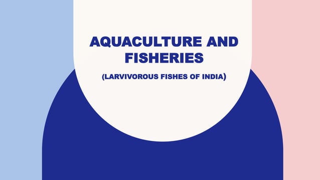 Larvivorous fishes of indiaor bony fishes .pptx