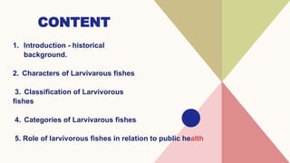 Larvivorous fishes of indiaor bony fishes .pptx