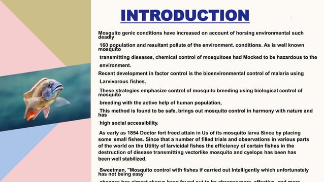 Larvivorous fishes of indiaor bony fishes .pptx