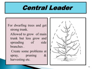To improve the knowledge about principle and practice of canopy ...