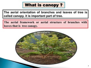 To improve the knowledge about principle and practice of canopy ...