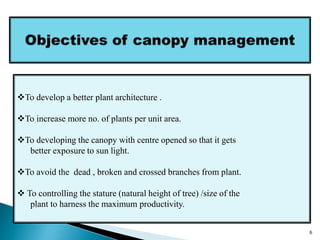 To improve the knowledge about principle and practice of canopy management in fruit crop | PPTX