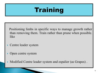 To improve the knowledge about principle and practice of canopy ...