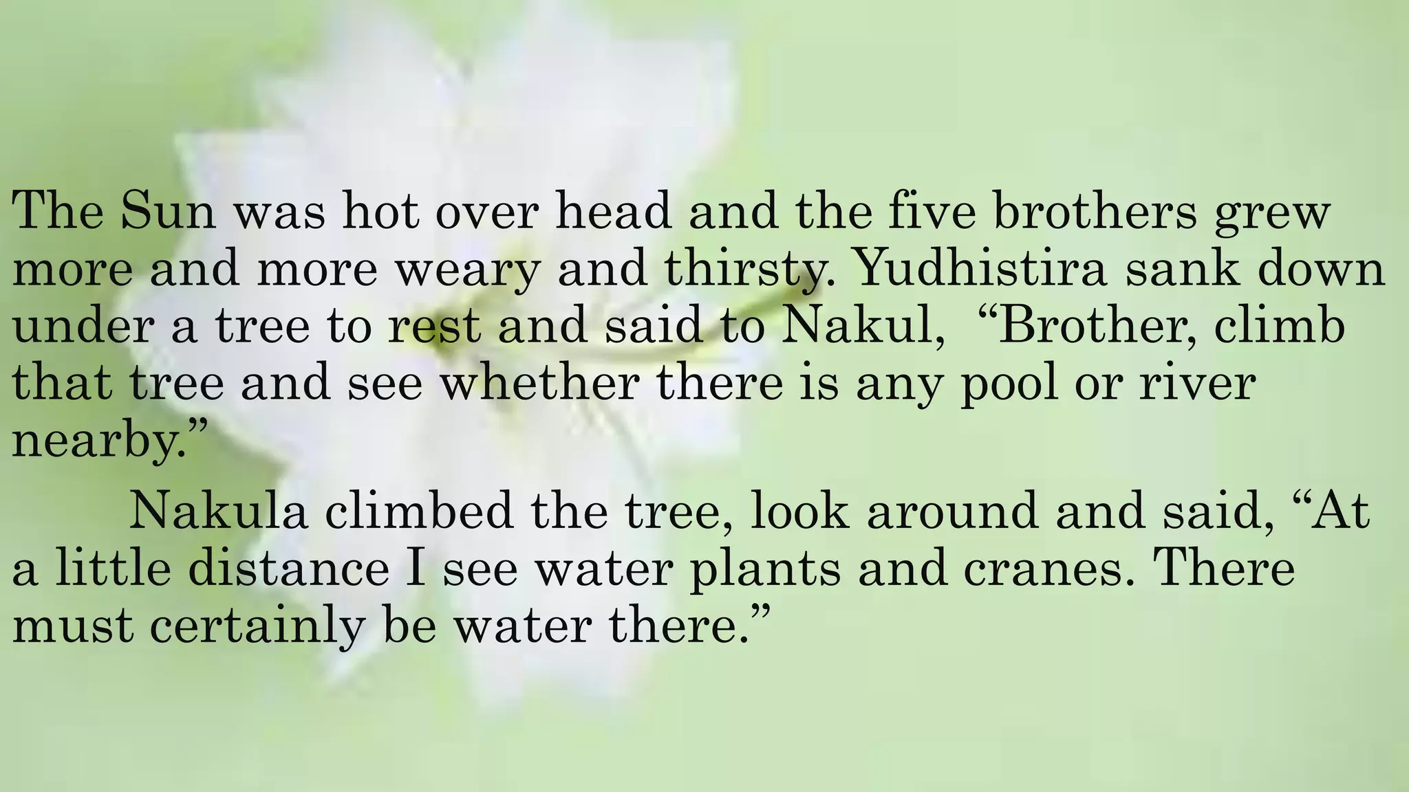 Chitte, The Enchanted Pool | PPTX