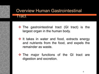 GUT MICROBIOME IMPACT ON HUMAN GASTROINTESTINAL TRACT | PPT