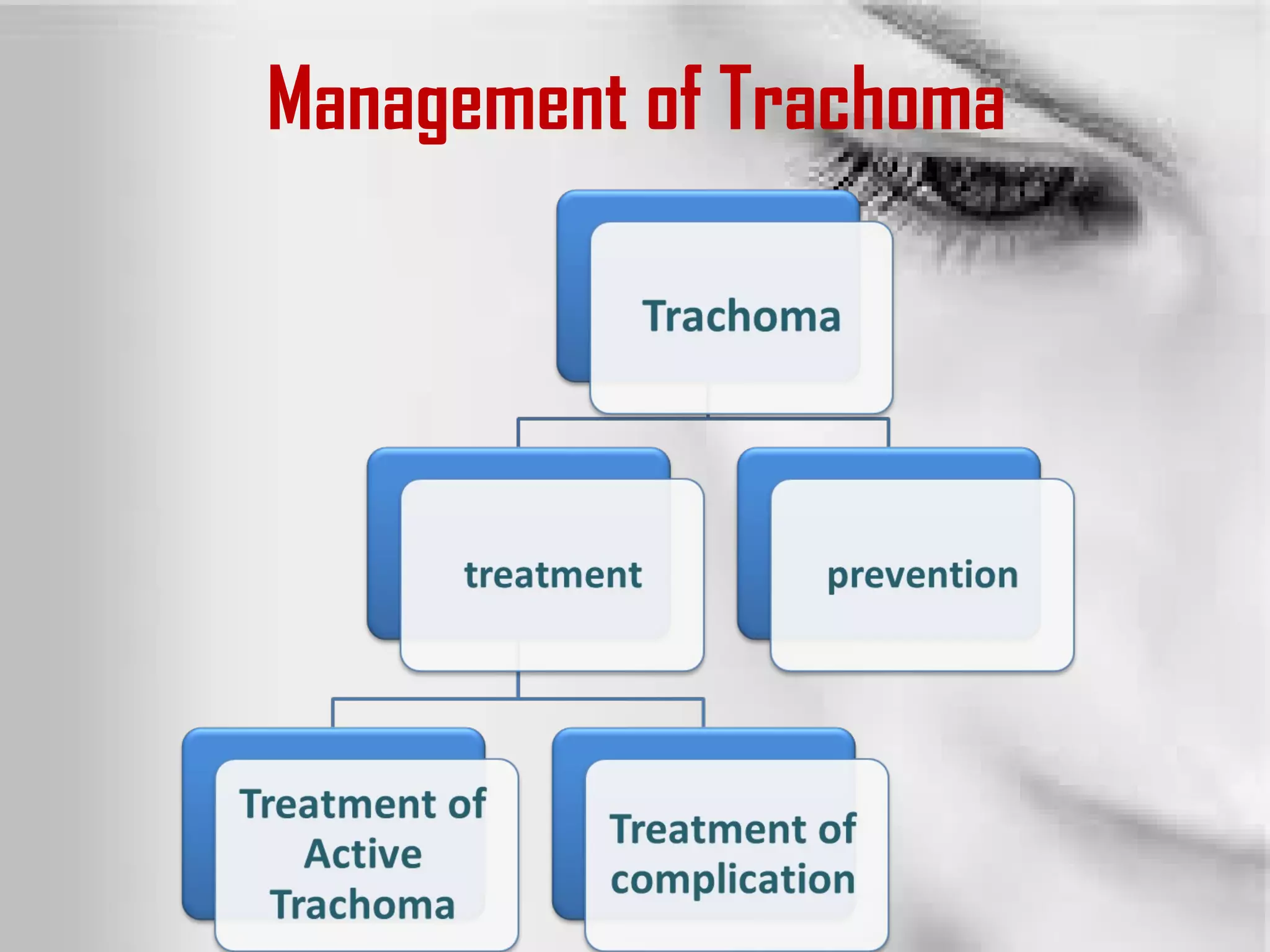 Chlamydia Conjunctivitis Ppt