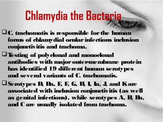 Chlamydia Conjunctivitis | PPT