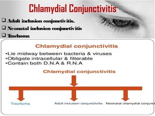 Neonatal Chlamydial Conjunctivitis