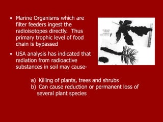 CHL308_Radioactive Waste And Its Disposal.ppt