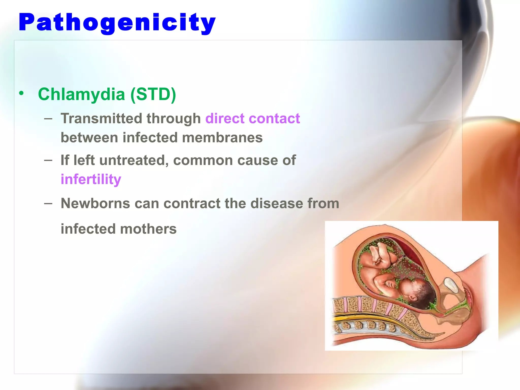 Chlamydia | PPT