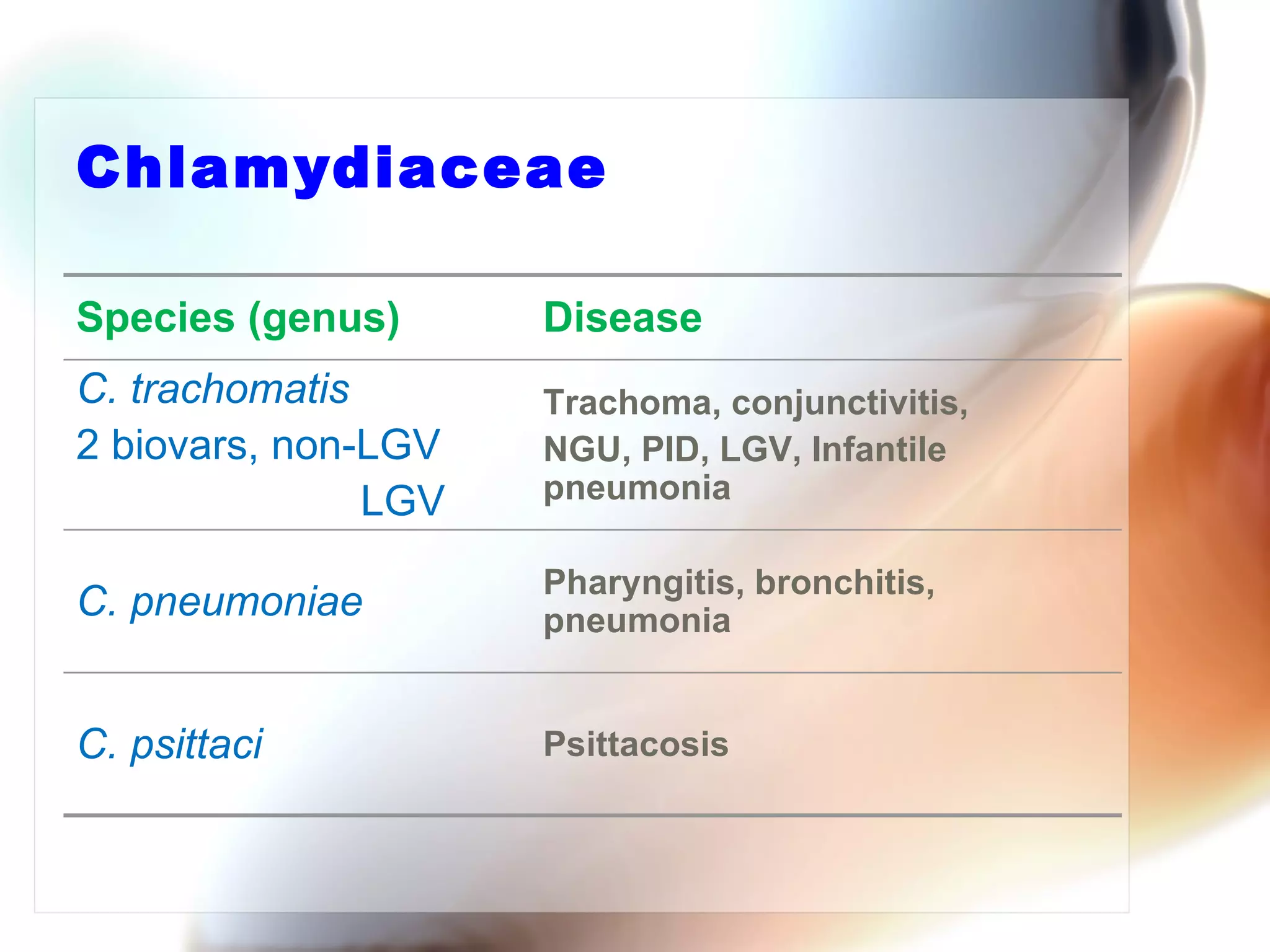 Chlamydia | PPT