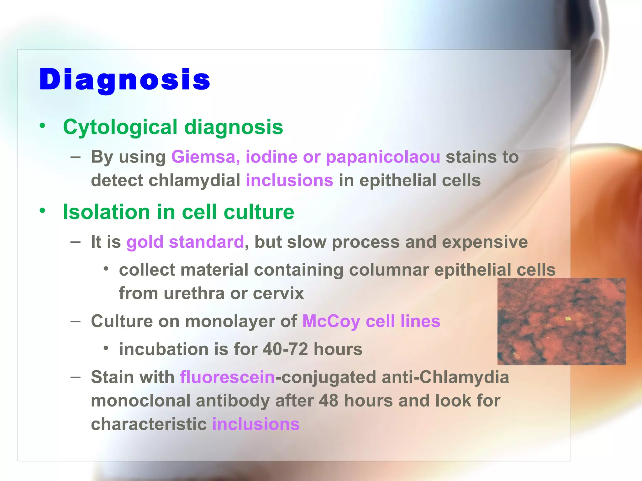 Chlamydia | PPT