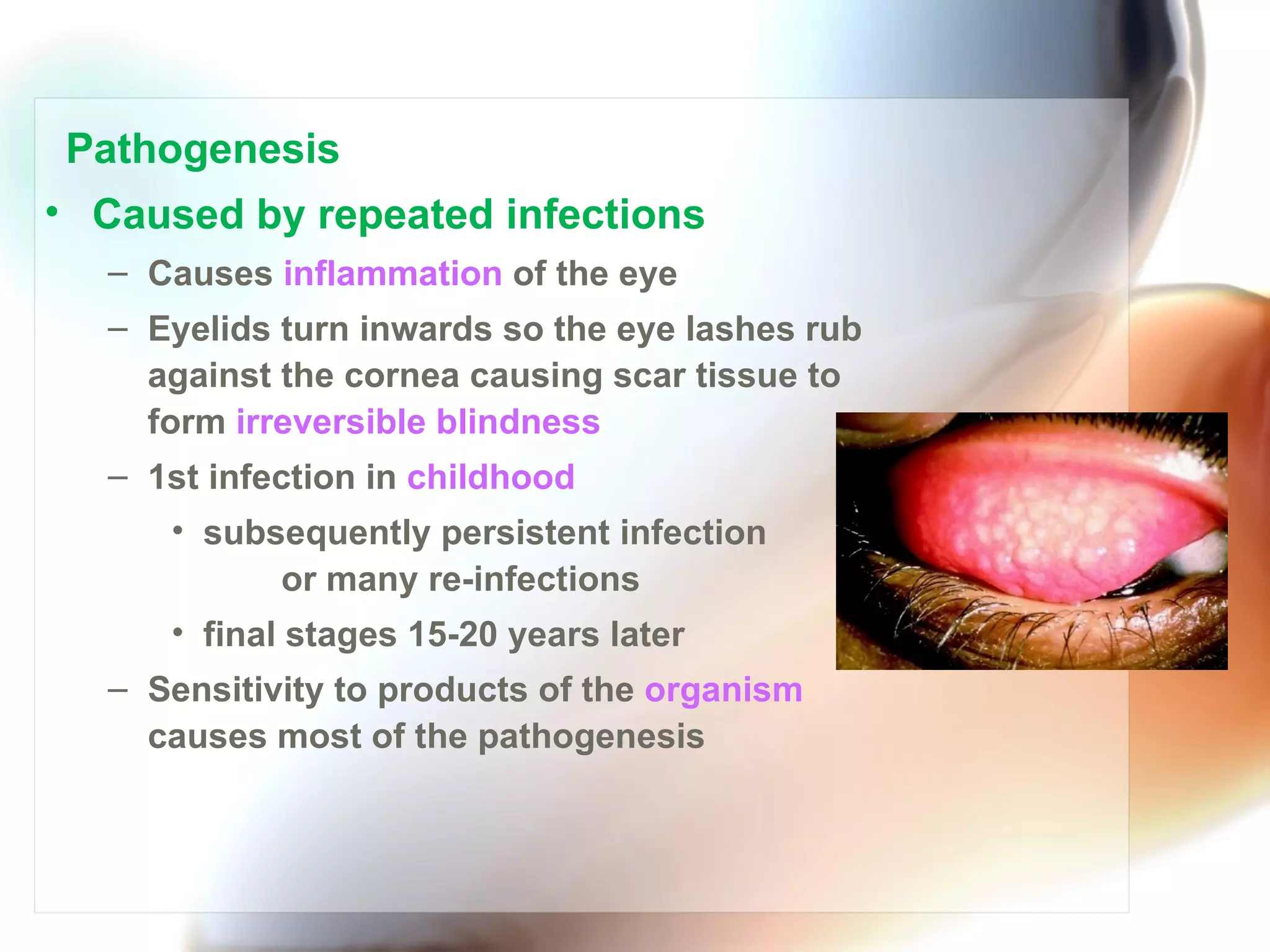 Chlamydia | PPT