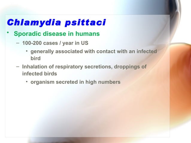 Chlamydia | PPT