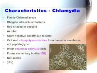 Chlamydia | PPT