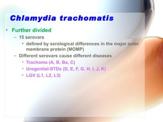 Chlamydia | PPT