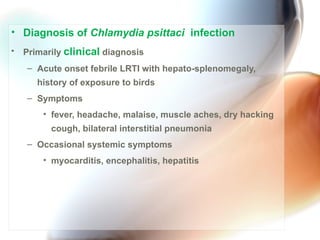 Chlamydia | PPT