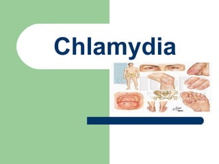 Chlamydia | PPT