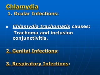 Chlamydia | PPT