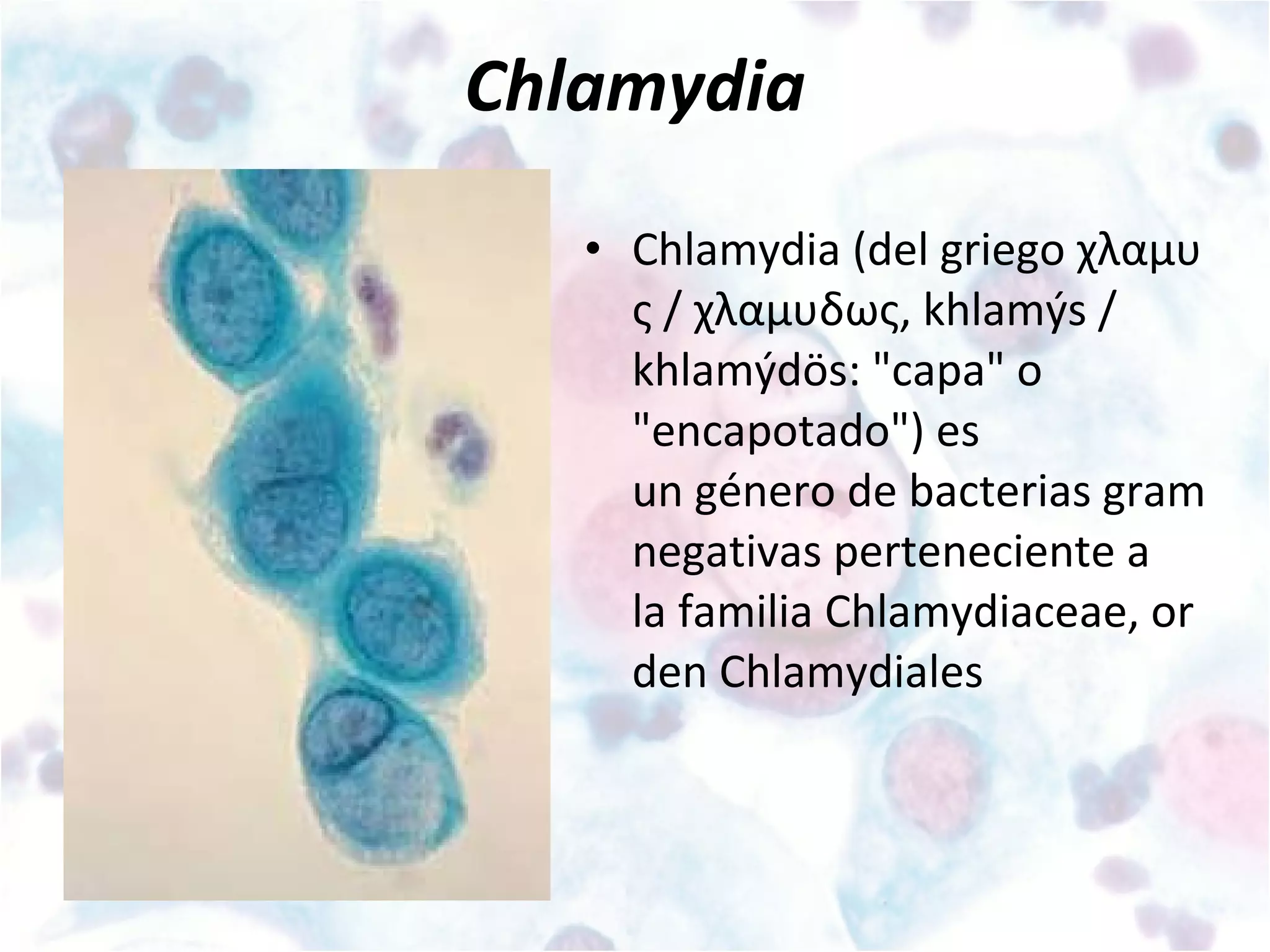 Chlamydia | PPT