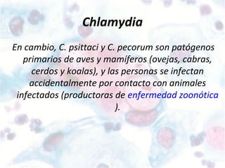 Chlamydia | PPT
