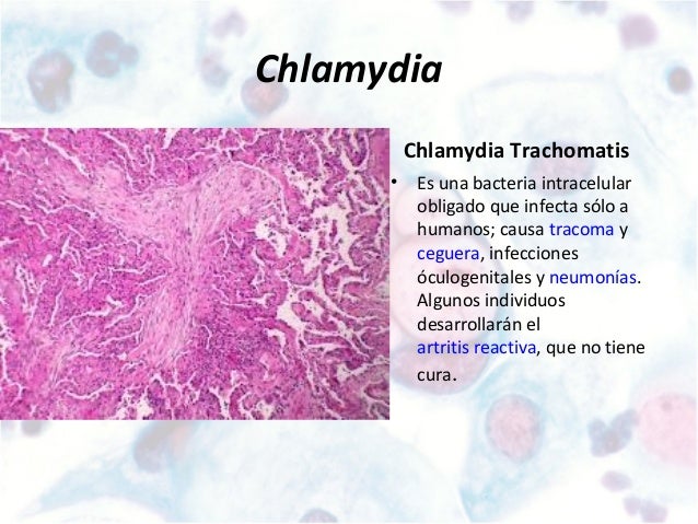 Chlamydia Bacteria Shape