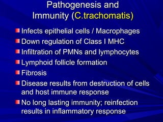 Chlamydia | PPT