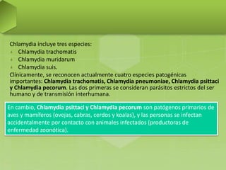 Chlamydia spp | PPTX
