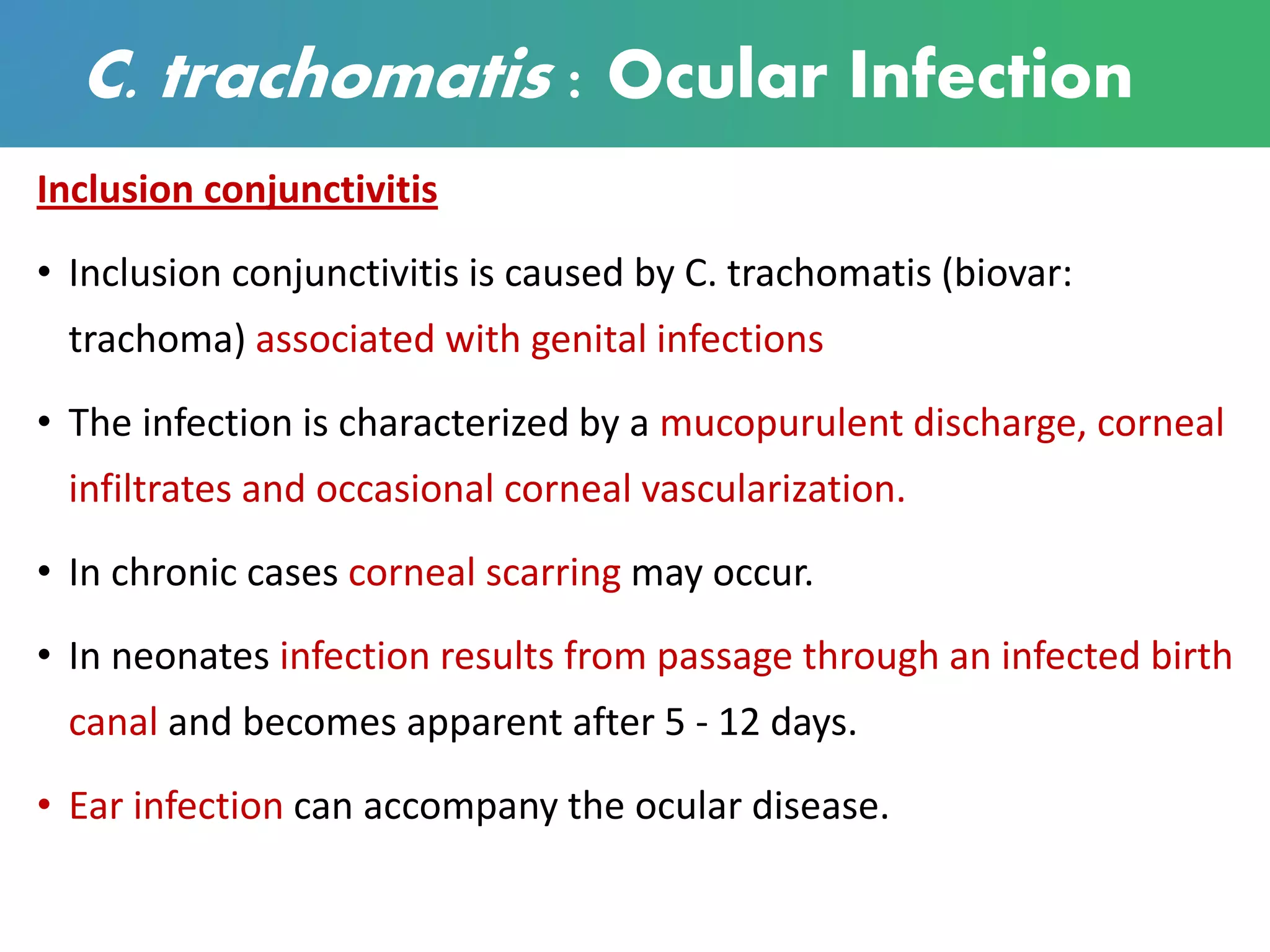 Chlamydia - The silent killer | PDF