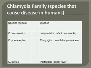 Chlamydia Infection | PPTX