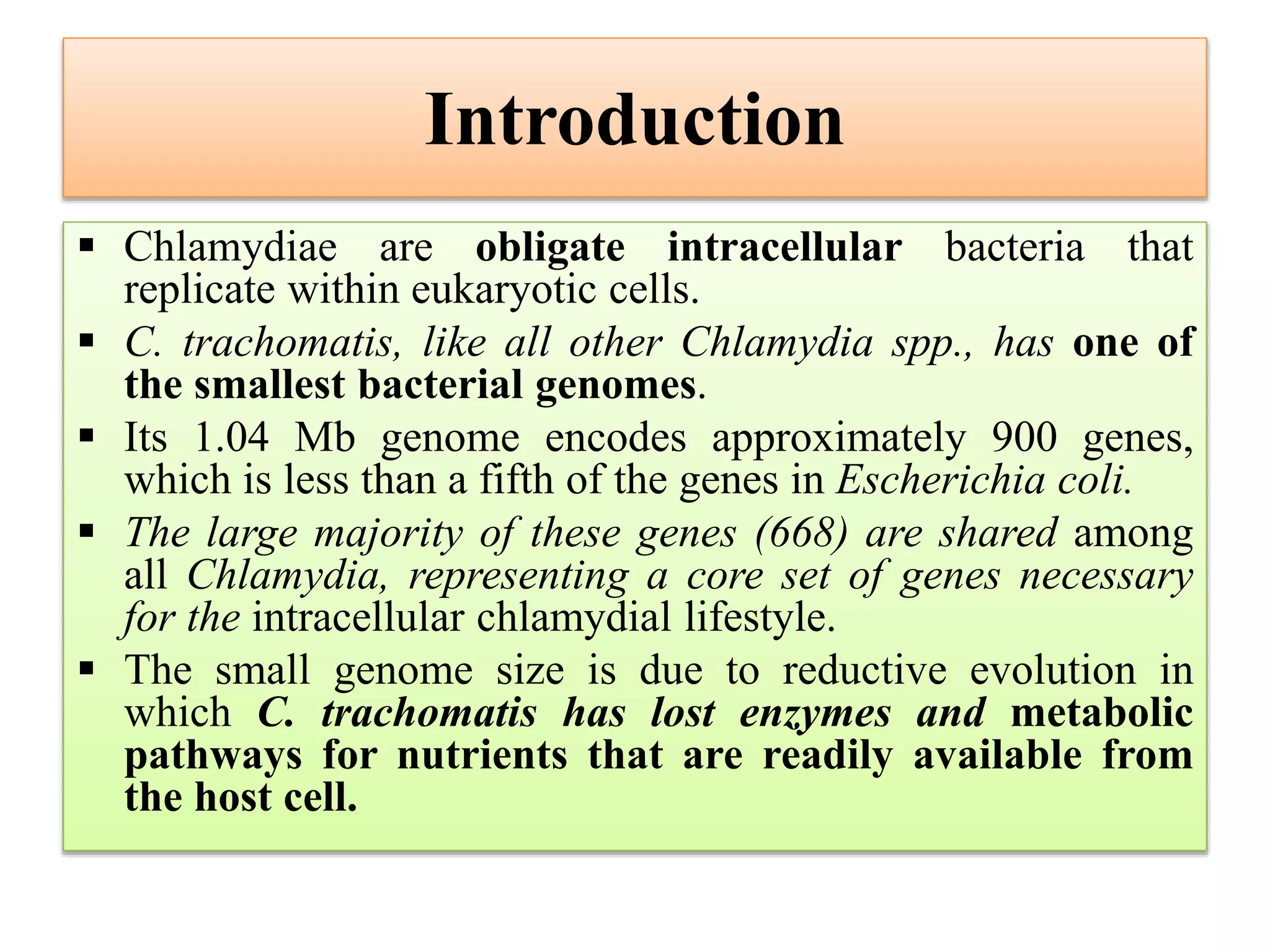 Chlamydia | PPTX