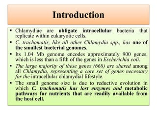 Chlamydia | PPTX