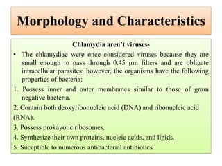 Chlamydia | PPTX