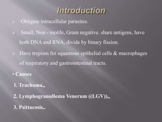 Chlamydia | PPTX