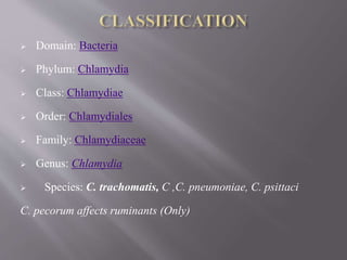 Chlamydia | PPT