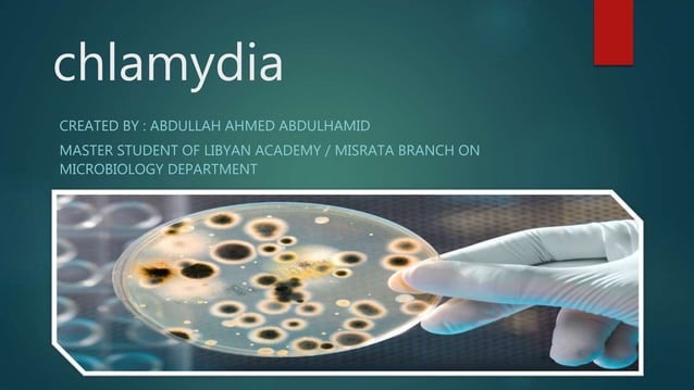 Chlamydia | PPT