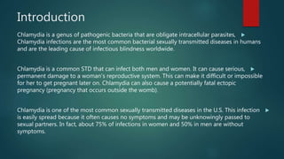 Chlamydia | PPT