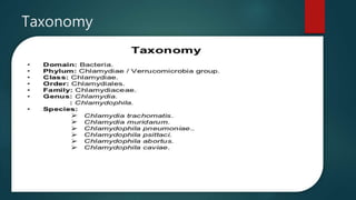 Chlamydia | PPT