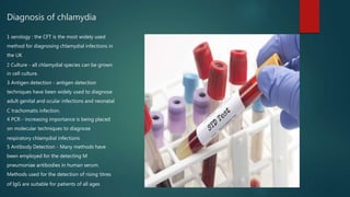 Chlamydia | PPT