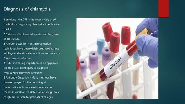 Chlamydia | PPT