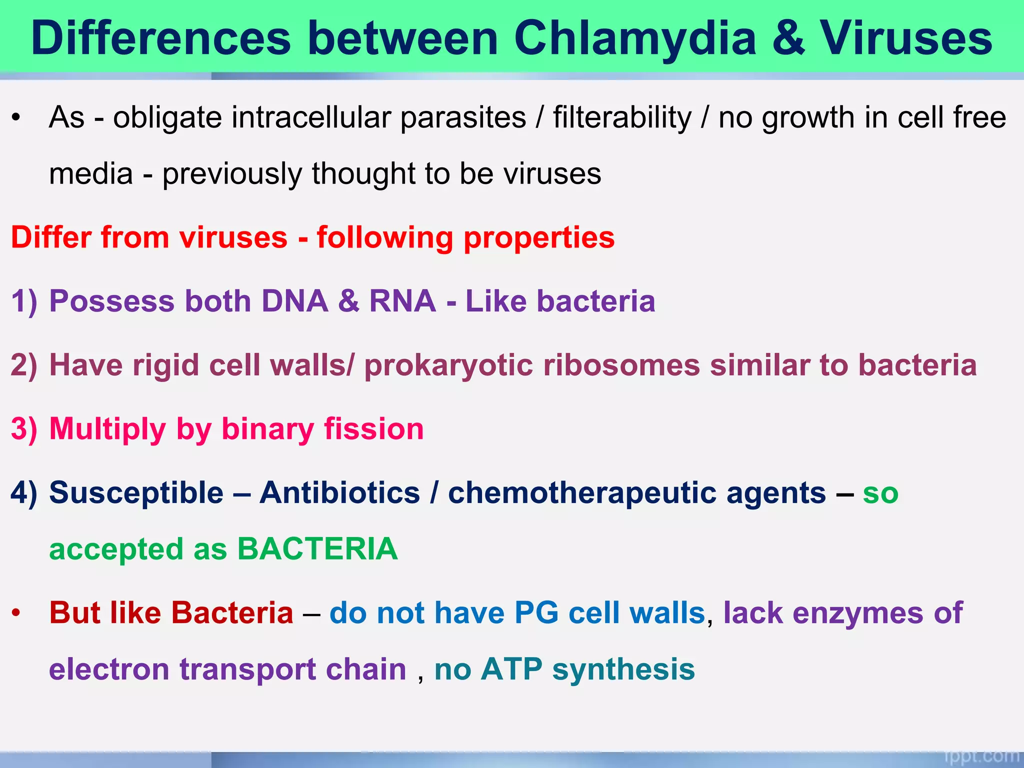 Chlamydia | PPT