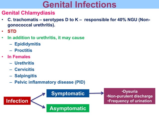 Chlamydia | PPT | Biological Sciences | Science