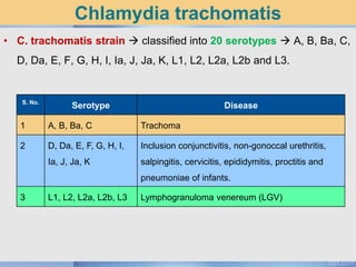 Chlamydia | PPT