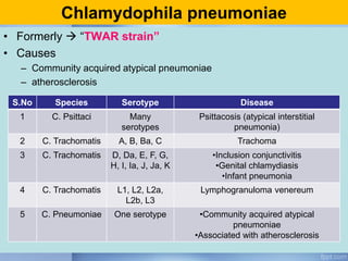 Chlamydia | PPT