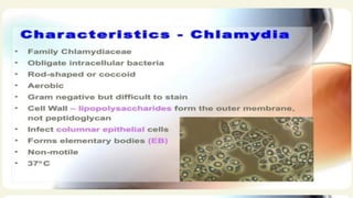 chlamydia.pdf