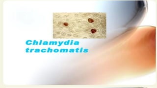 chlamydia.pdf