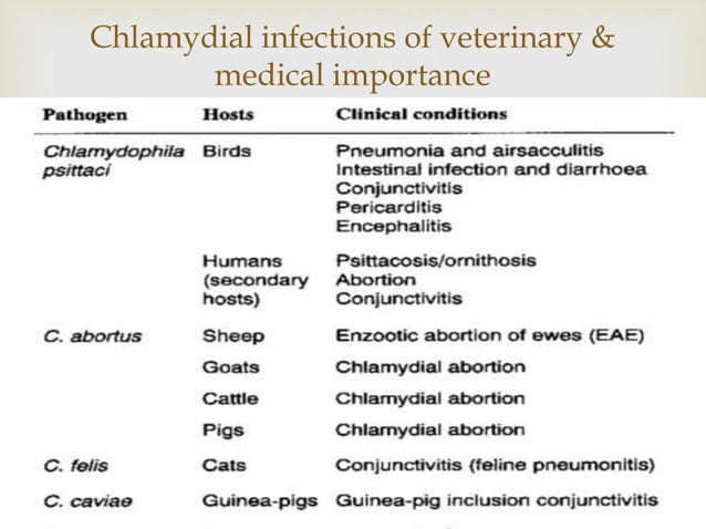 CHLAMYDIA.pptx veterinary microbiology . | PPTX | Sexual Conditions ...